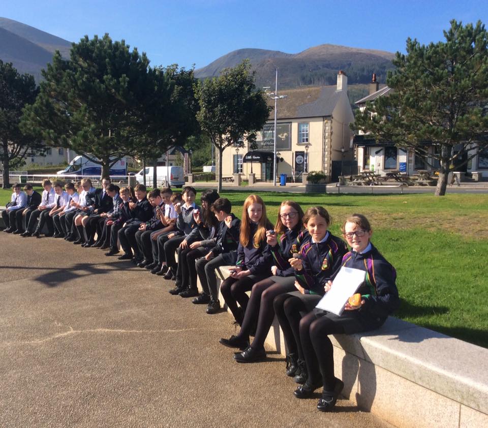 Curriculum – Shimna Integrated College